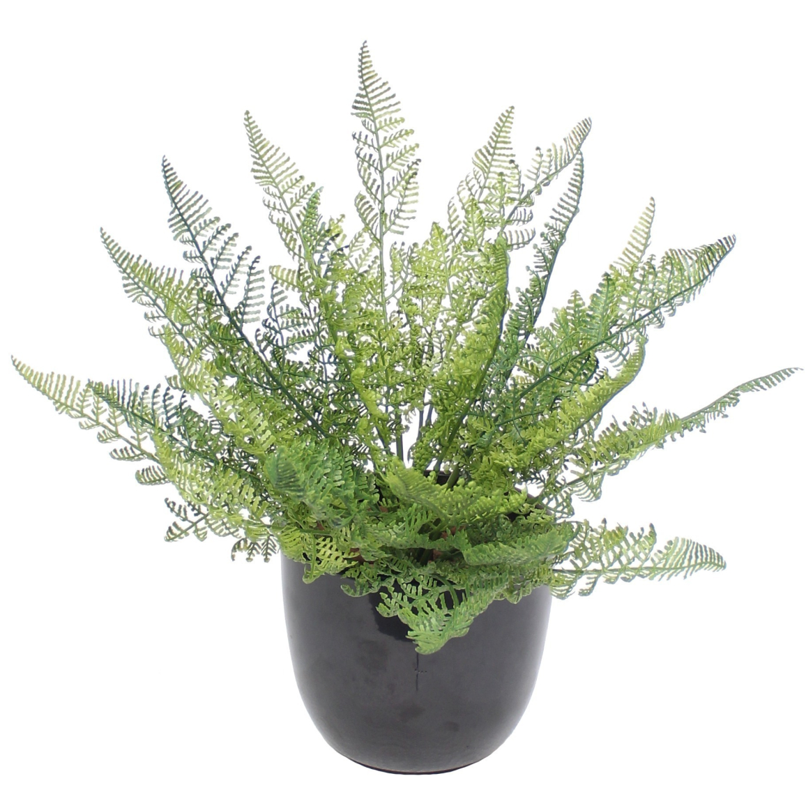 Fougère davallia bullata artificielle 35 cm - Fougères artificielles ...