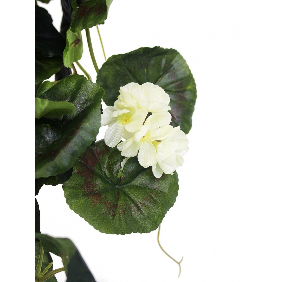 Chute de géranium artificielle blanche 70 cm - Géraniums artificiels ...