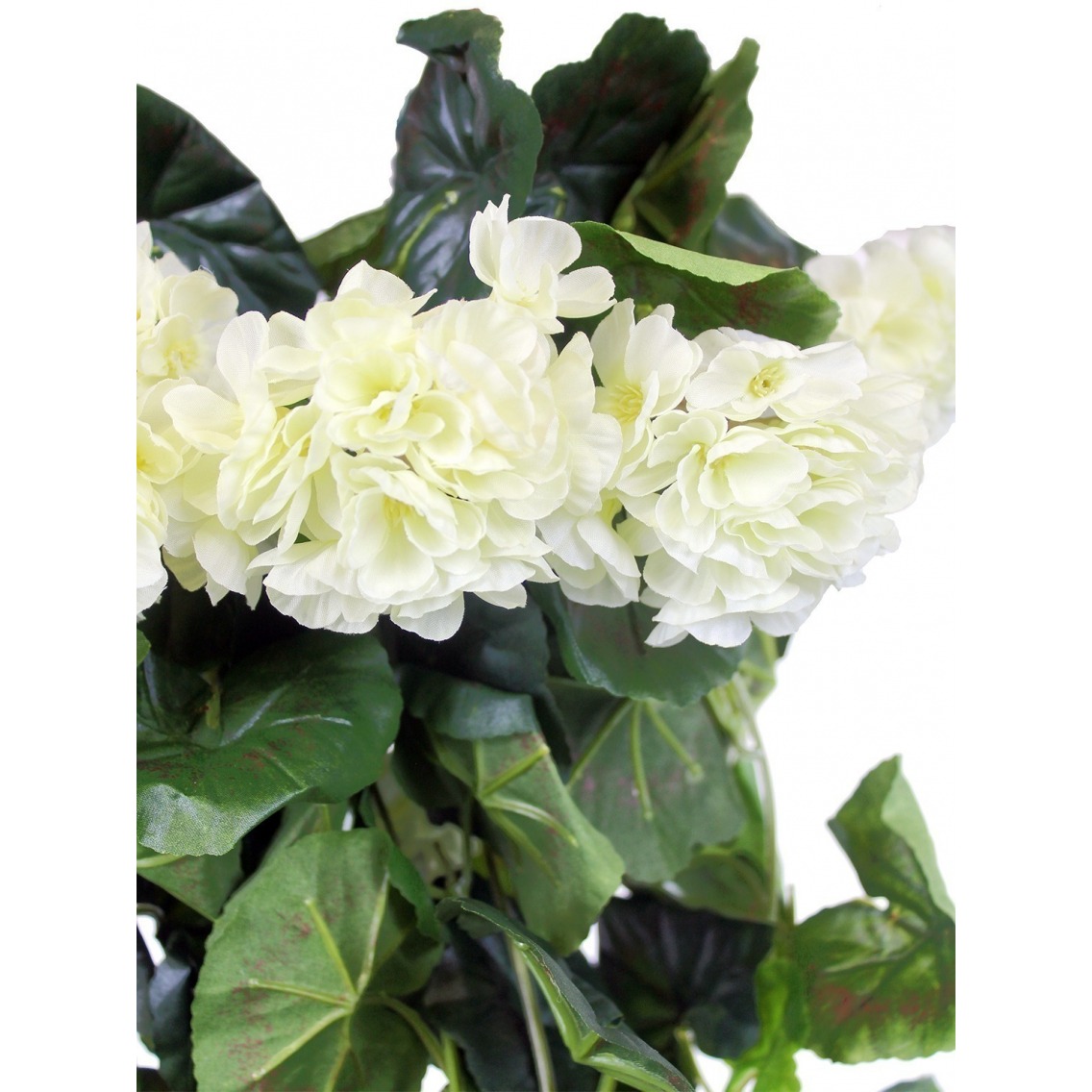 Chute de géranium artificielle blanche 70 cm - Géraniums artificiels ...
