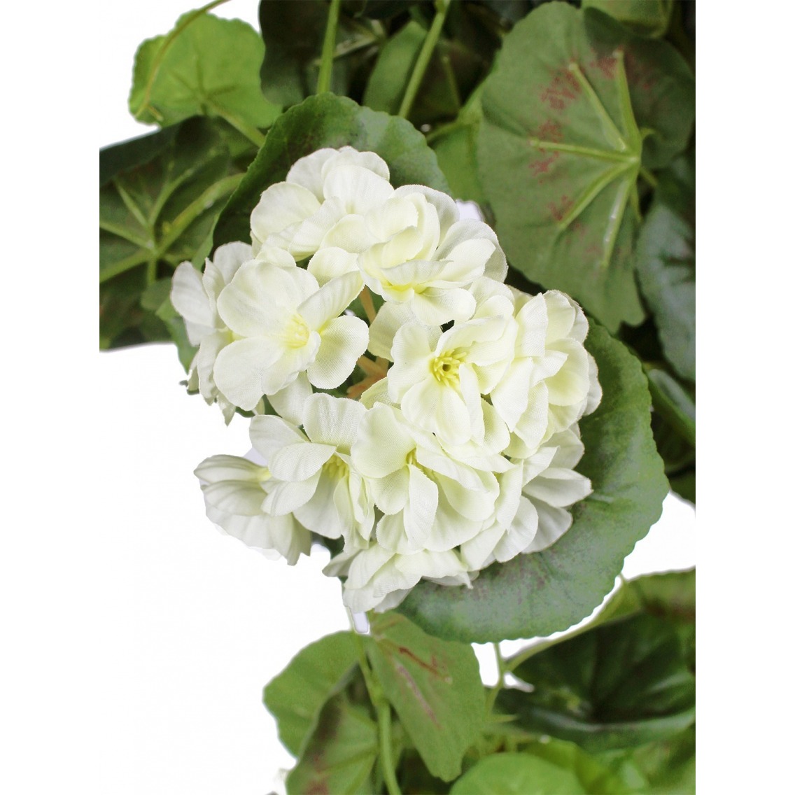 Chute de géranium artificielle blanche 70 cm - Géraniums artificiels ...