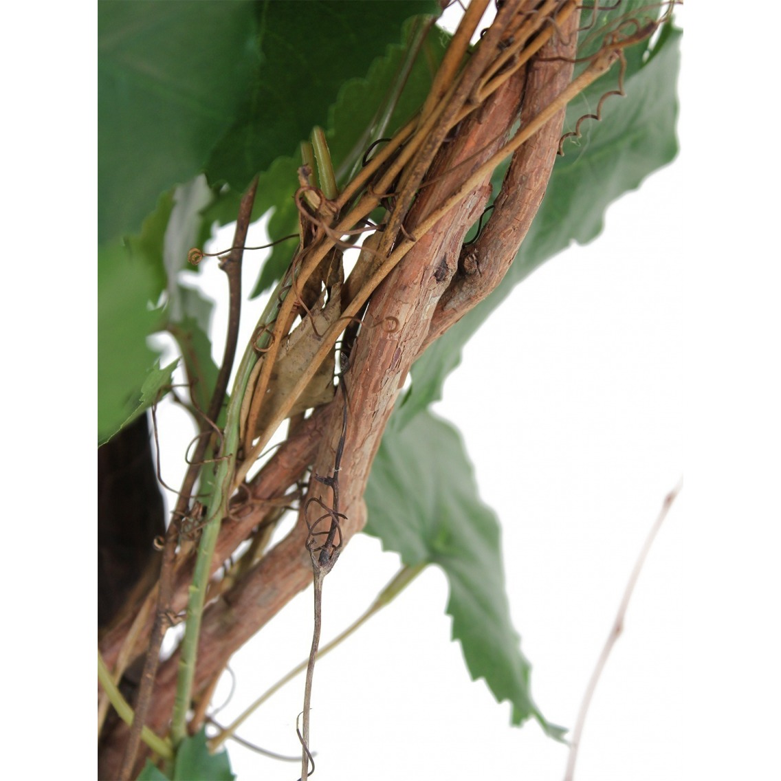 Vigne grimpante artificielle 200 cm - Arbres méditerranéens artificiels ...