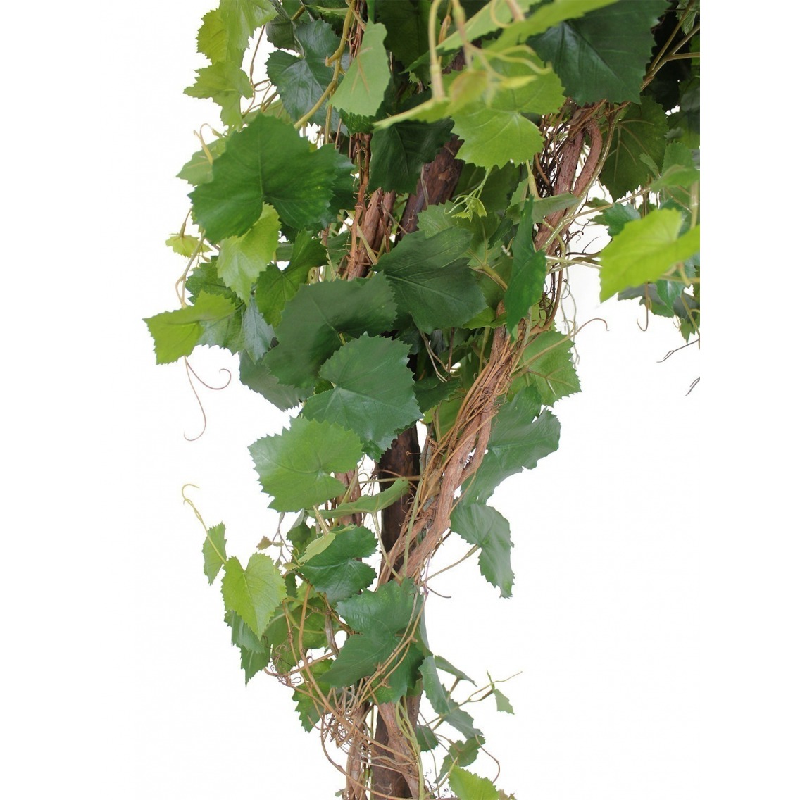 Vigne grimpante artificielle 200 cm - Arbres méditerranéens artificiels ...