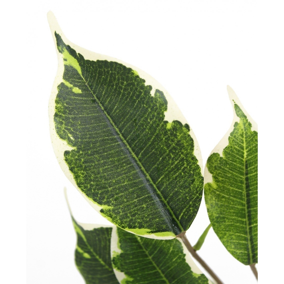 Feuille de ficus exotica artificielle panachée 76 cm - Feuilles ...