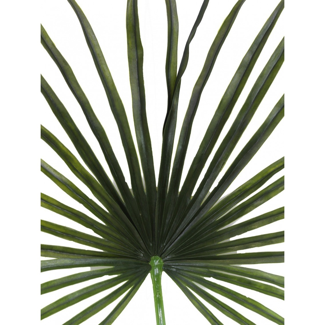 Feuille de palmier chanvre artificielle 130 cm - Feuilles tropicales ...