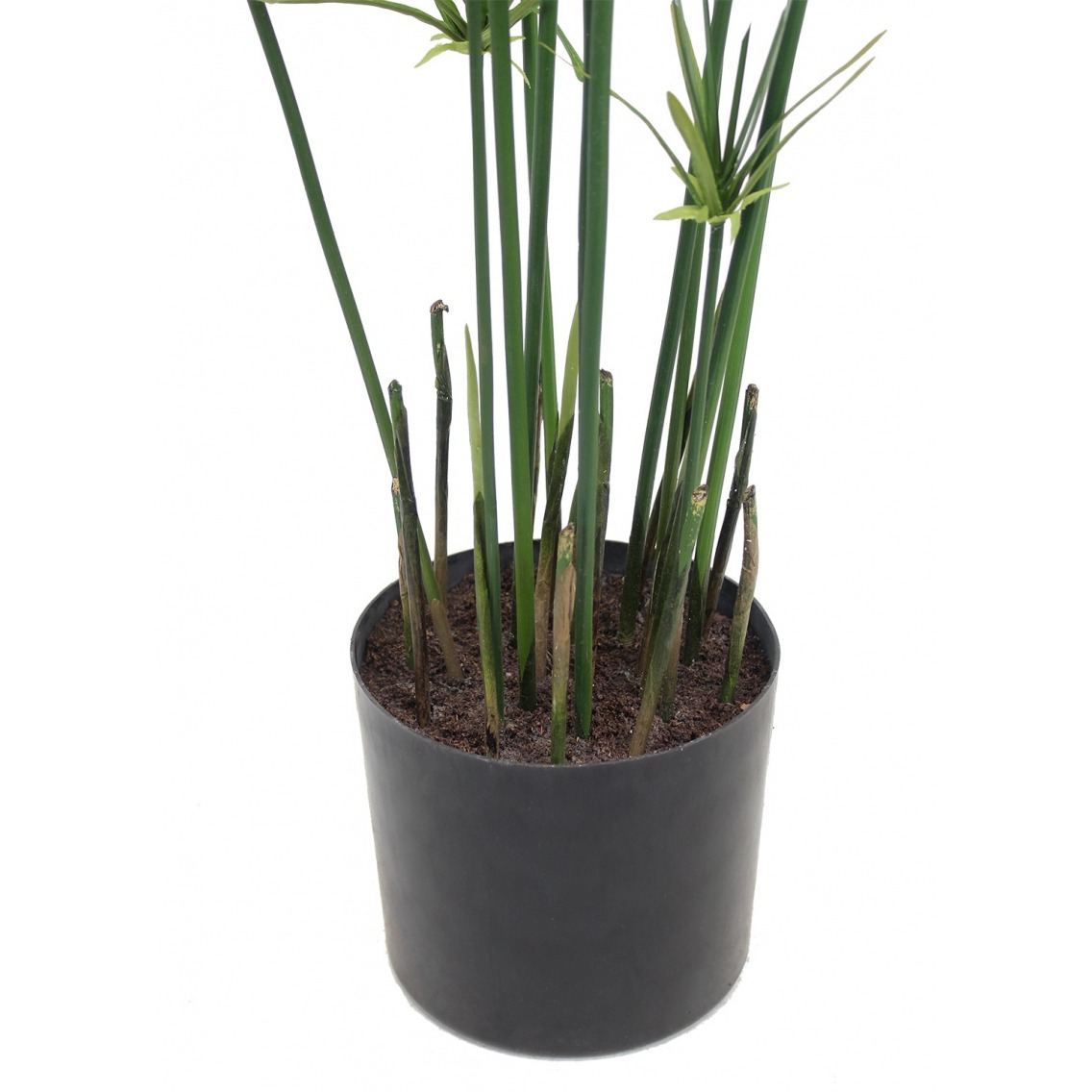 Papyrus artificiel en pot - Graminées artificielles - Artiplantes