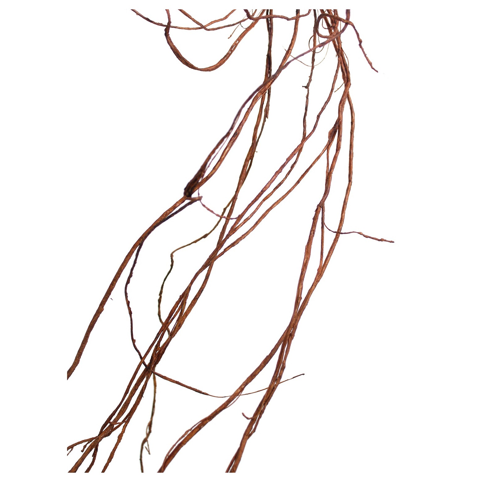 Liane artificielle 180 cm - Branches artificielles - Artiplantes