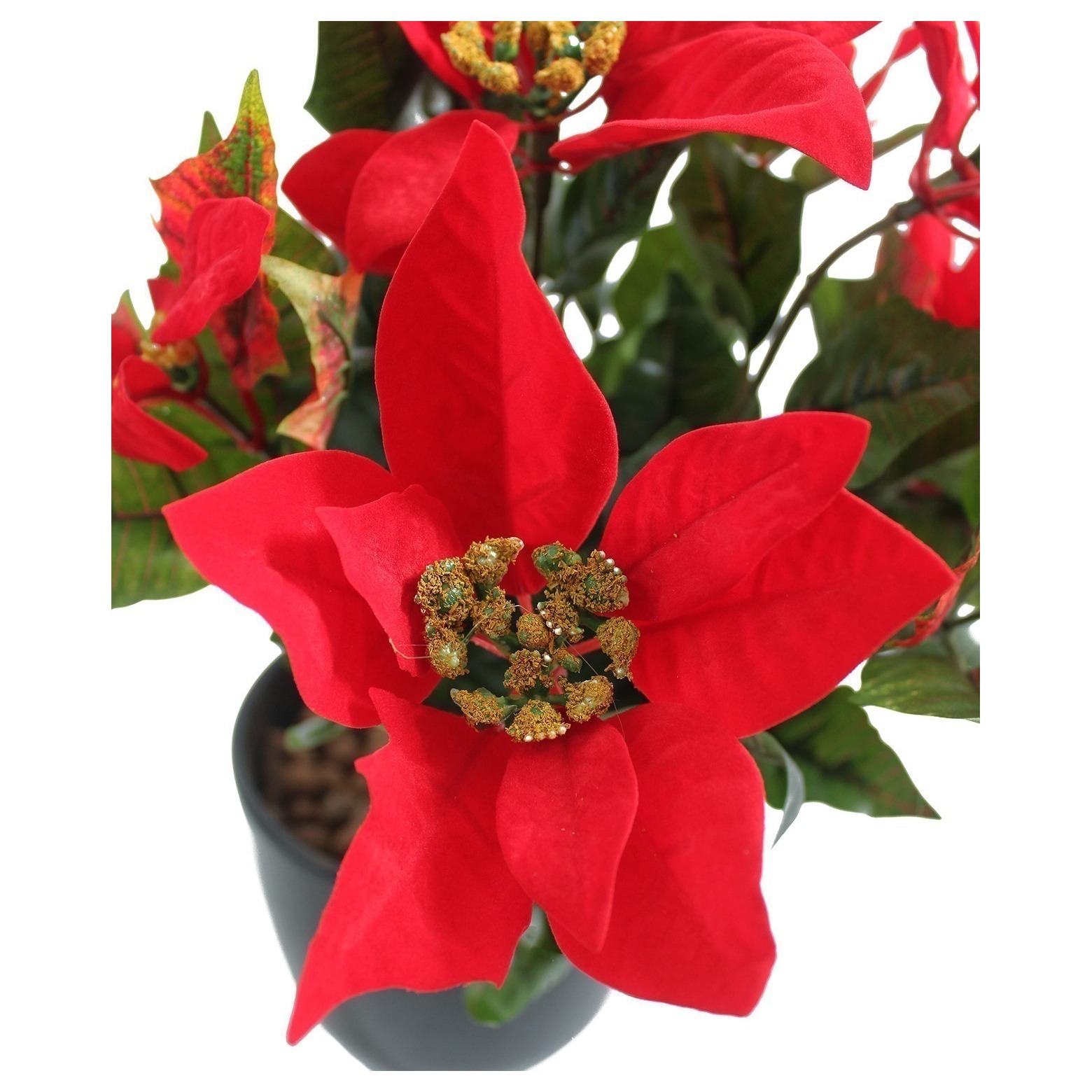 Poinsettia Artificiel Rouge Etoile De Noël 40 Cm Poinsettias