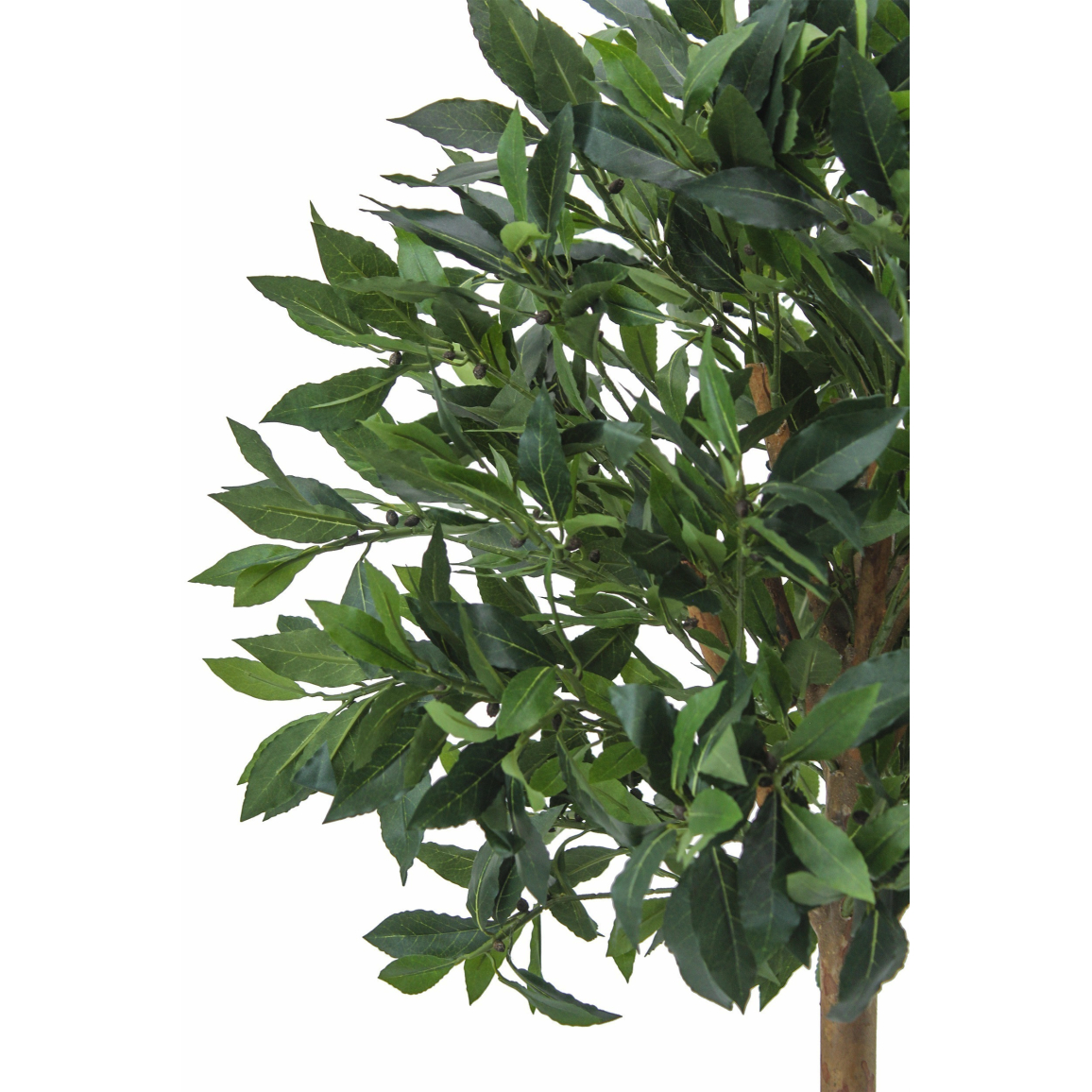 Laurier d'Apollon artificiel 135 cm - Lauriers artificiels - Artiplantes