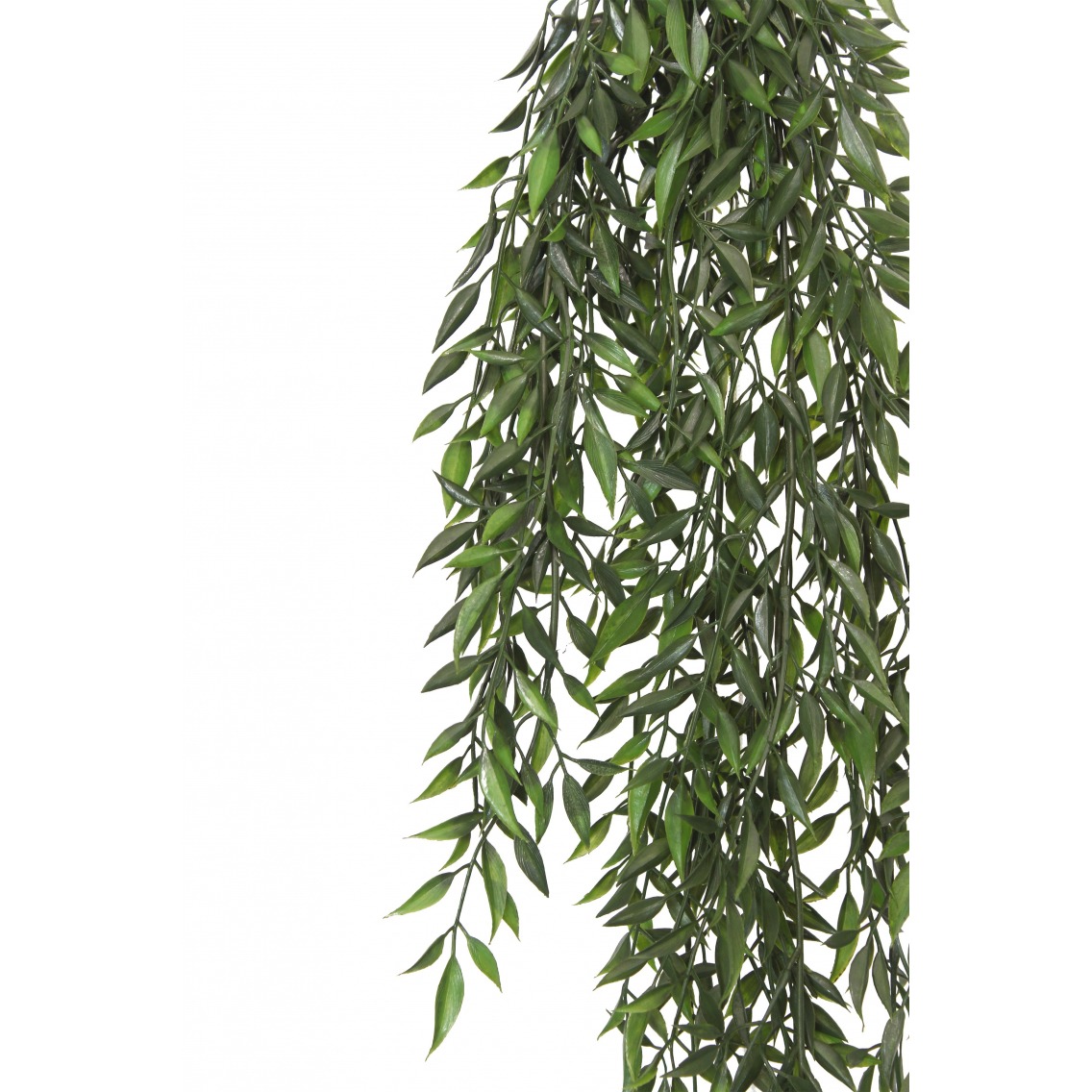 Chute de fragon artificiel 82 cm - Plantes suspendues artificielles ...