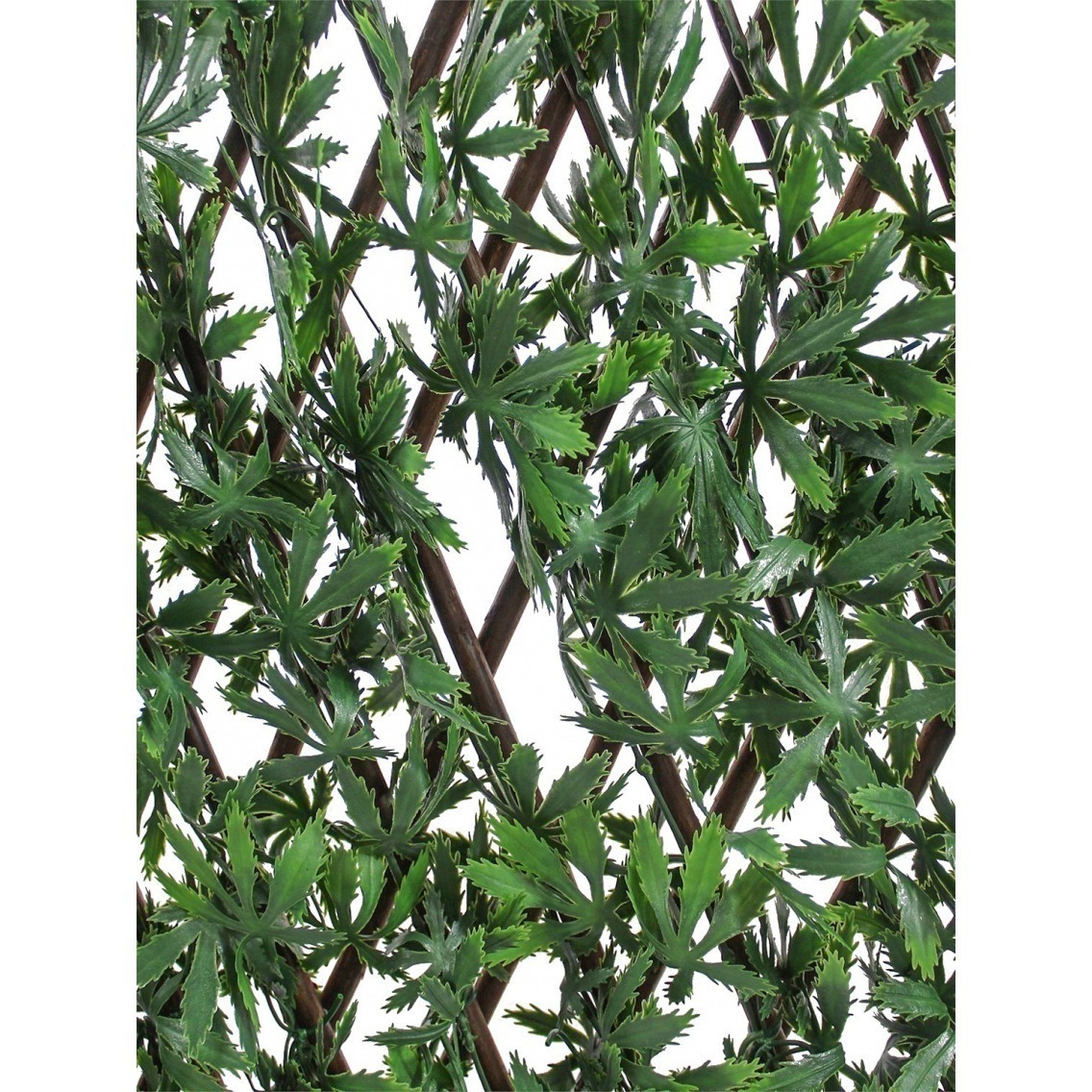 Treillis extensible aralia aralia traité anti-UV 100 cm - Brise-vues et ...