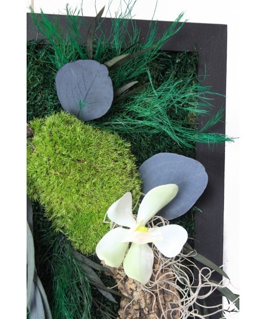Tableau végétal stabilisé naturel et sans entretien - Artiplantes
