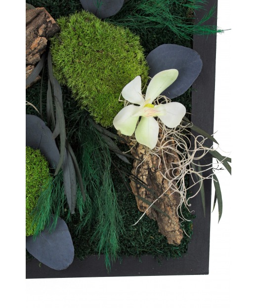 Tableau végétal stabilisé naturel et sans entretien - Artiplantes