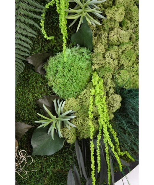 Tableau végétal stabilisé naturel et sans entretien - Artiplantes