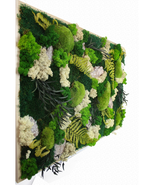 Tableau Vegetal Stabilise