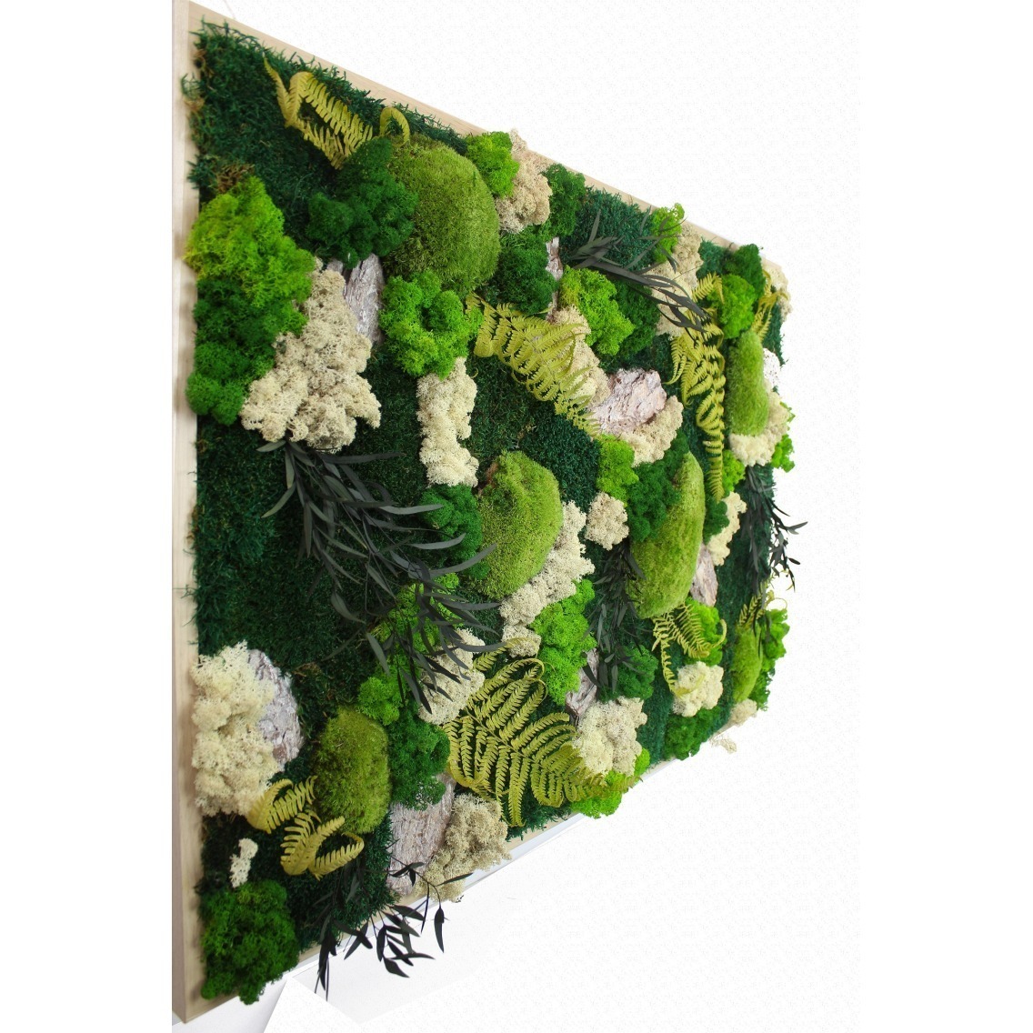 Tableau végétal stabilisé Falaise 73 cm - Tableau végétal stabilisé ...
