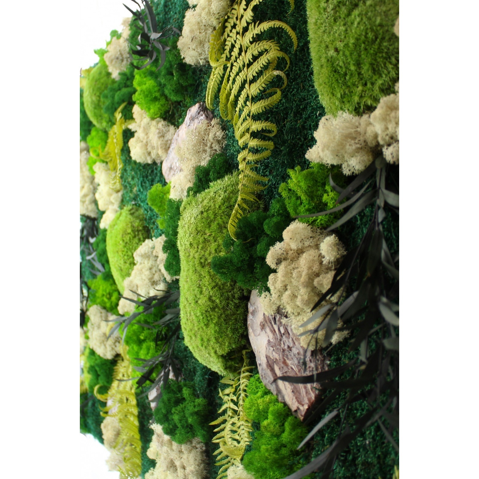 Tableau végétal stabilisé Falaise 73 cm - Tableau végétal stabilisé ...
