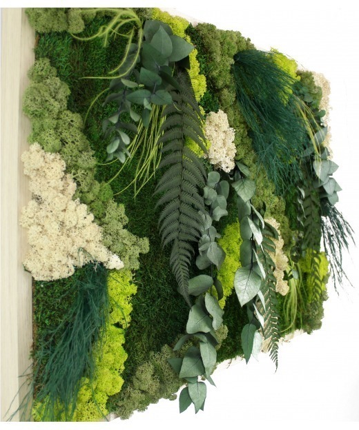 Tableau végétal stabilisé naturel et sans entretien - Artiplantes