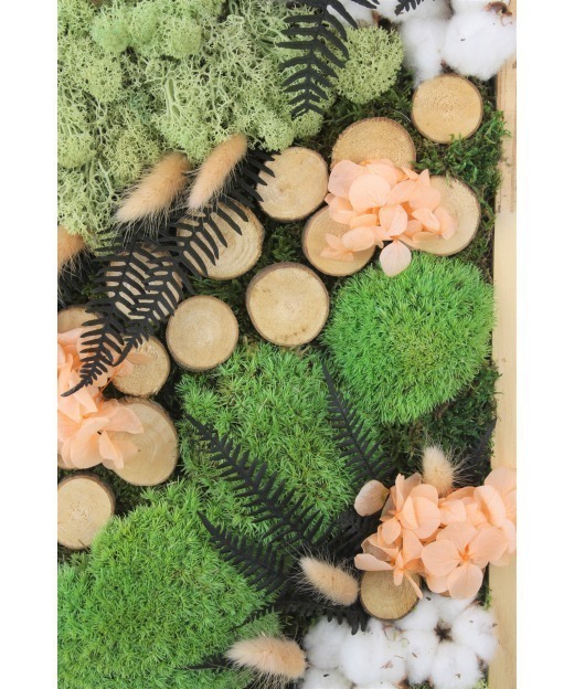 Tableau végétal stabilisé naturel et sans entretien - Artiplantes