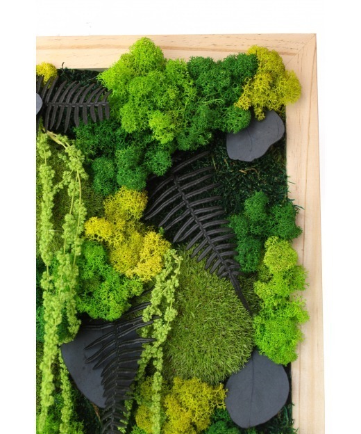 Tableau Vegetal Stabilise