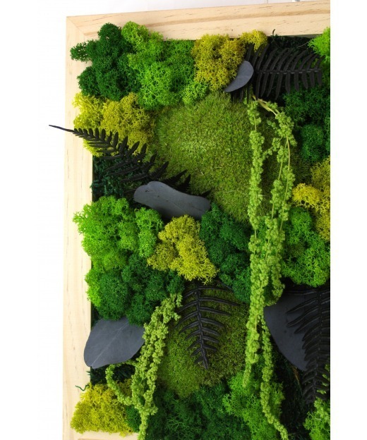 Tableau végétal stabilisé naturel et sans entretien - Artiplantes