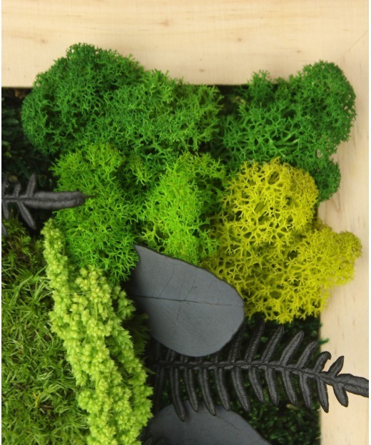 Tableau végétal stabilisé naturel et sans entretien - Artiplantes