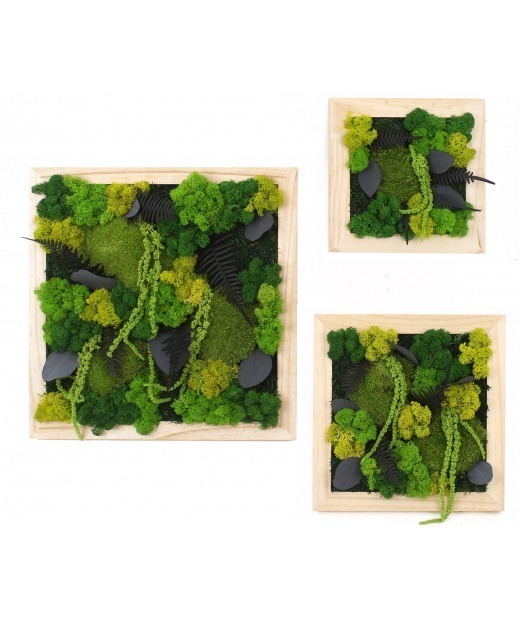 Tableau végétal stabilisé naturel et sans entretien - Artiplantes