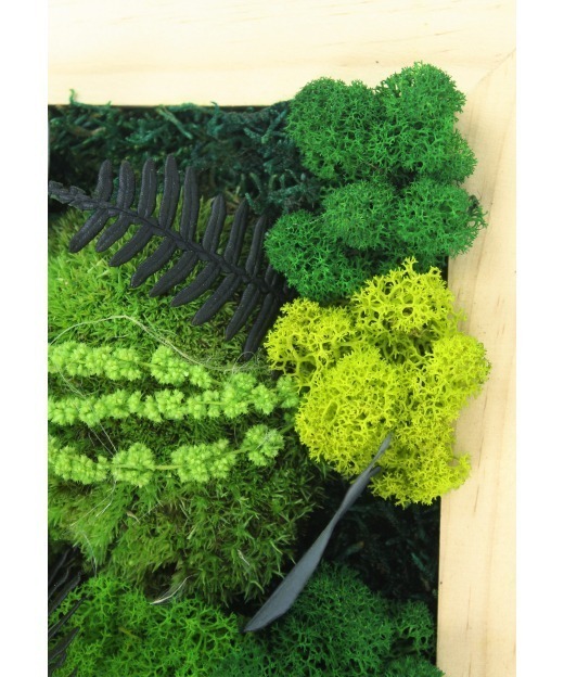 Tableau végétal stabilisé naturel et sans entretien - Artiplantes