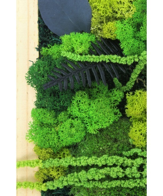 Tableau végétal stabilisé naturel et sans entretien - Artiplantes