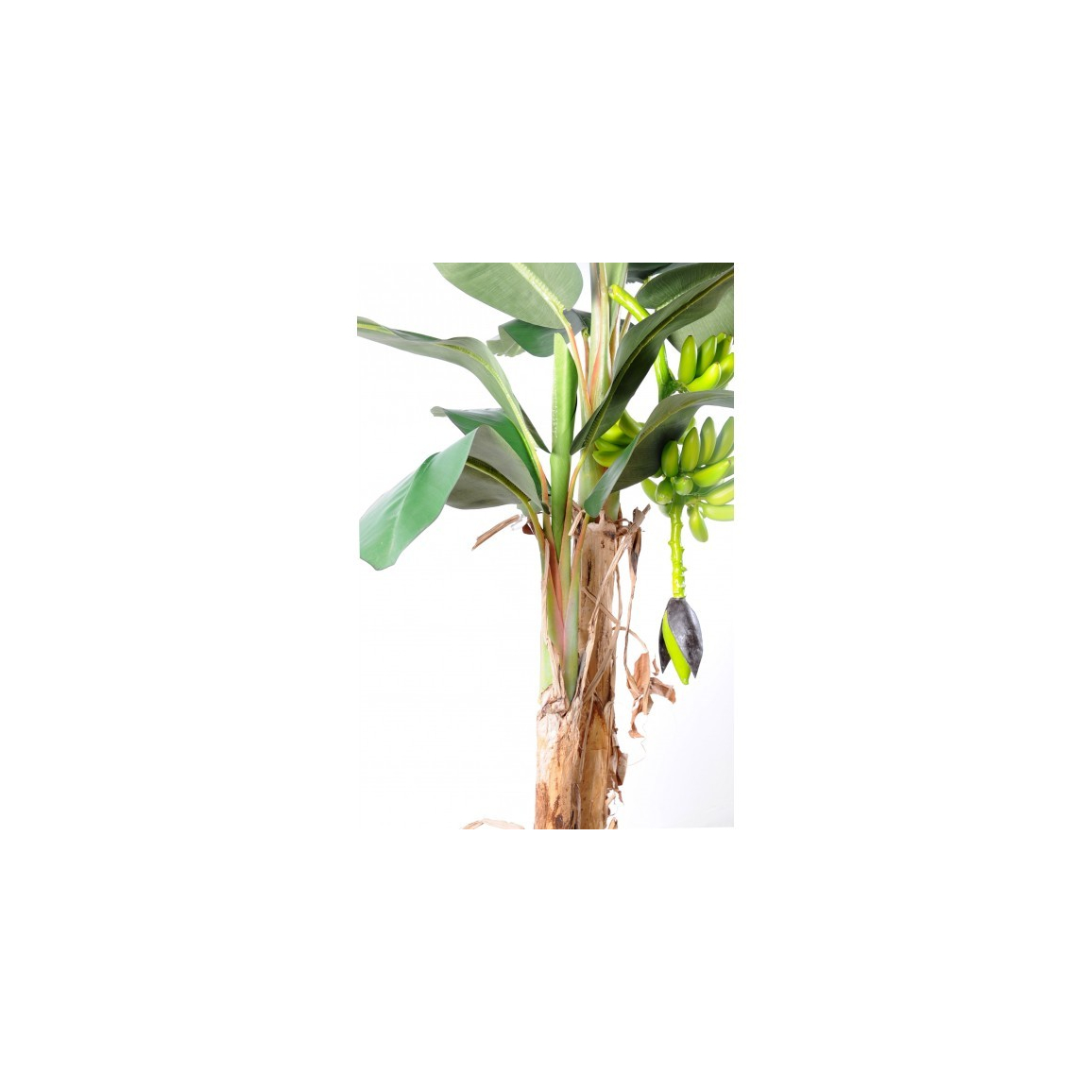 Bananier artificiel avec double tronc en bois 210 cm - Bananiers ...