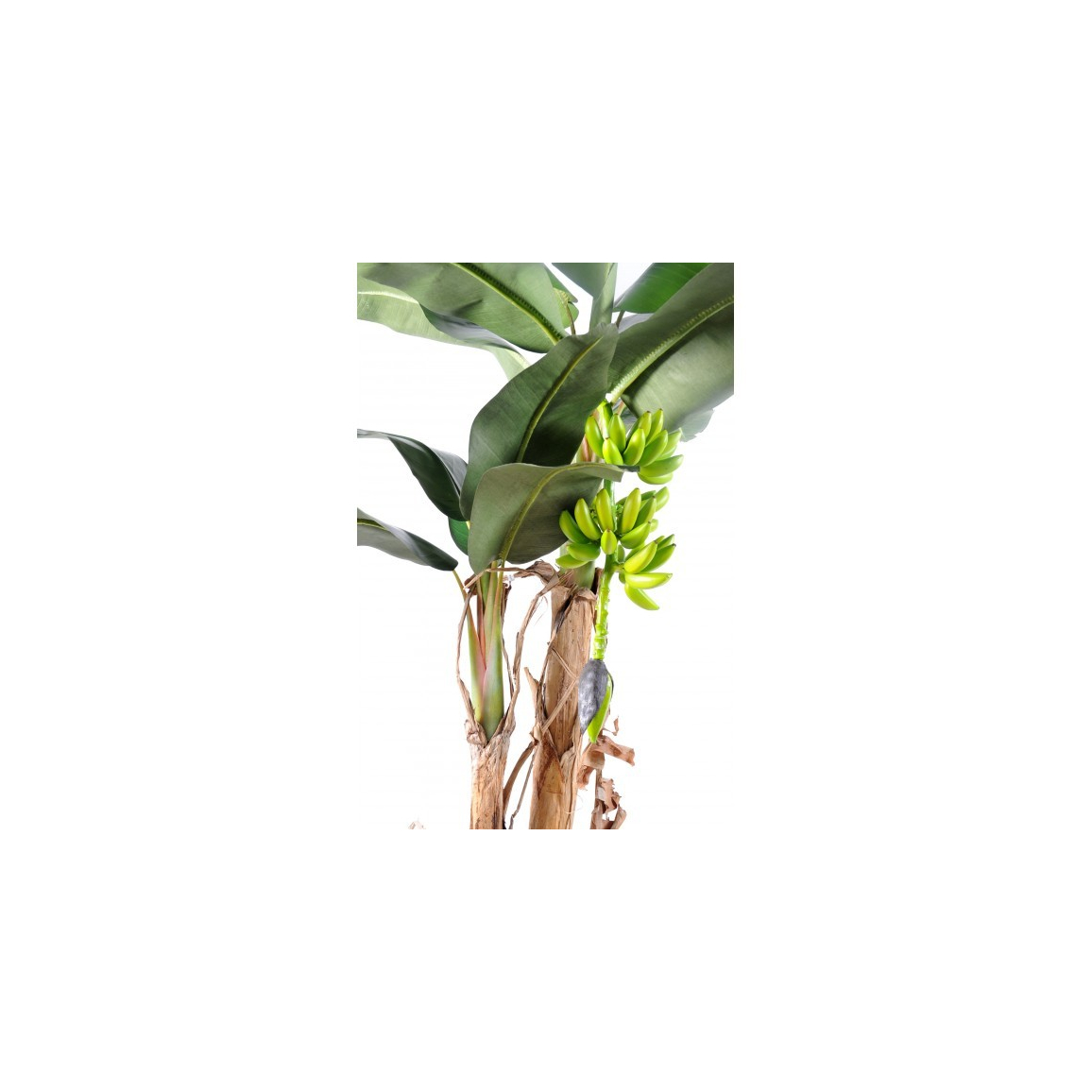Bananier artificiel avec double tronc en bois 210 cm - Bananiers ...