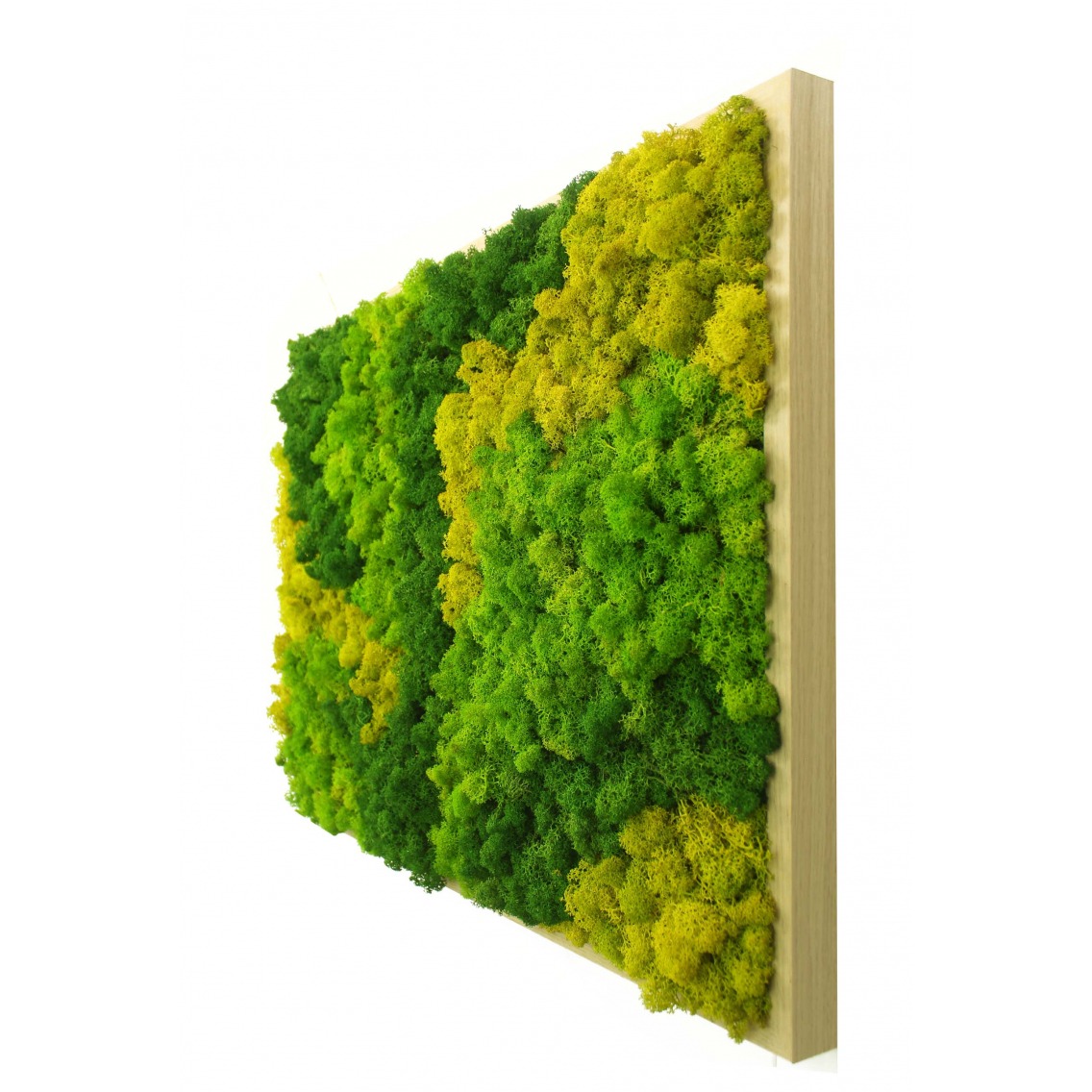 Cadre végétal artificiel mousse Coutances 53 cm - Tableau végétal ...