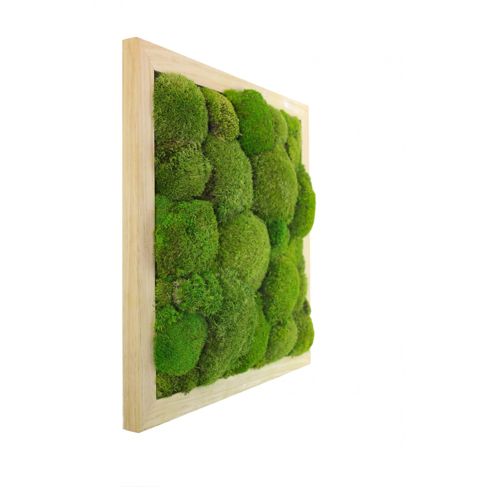 Cadre mousse végétale Houlgate 35 cm - Tableau végétal stabilisé ...
