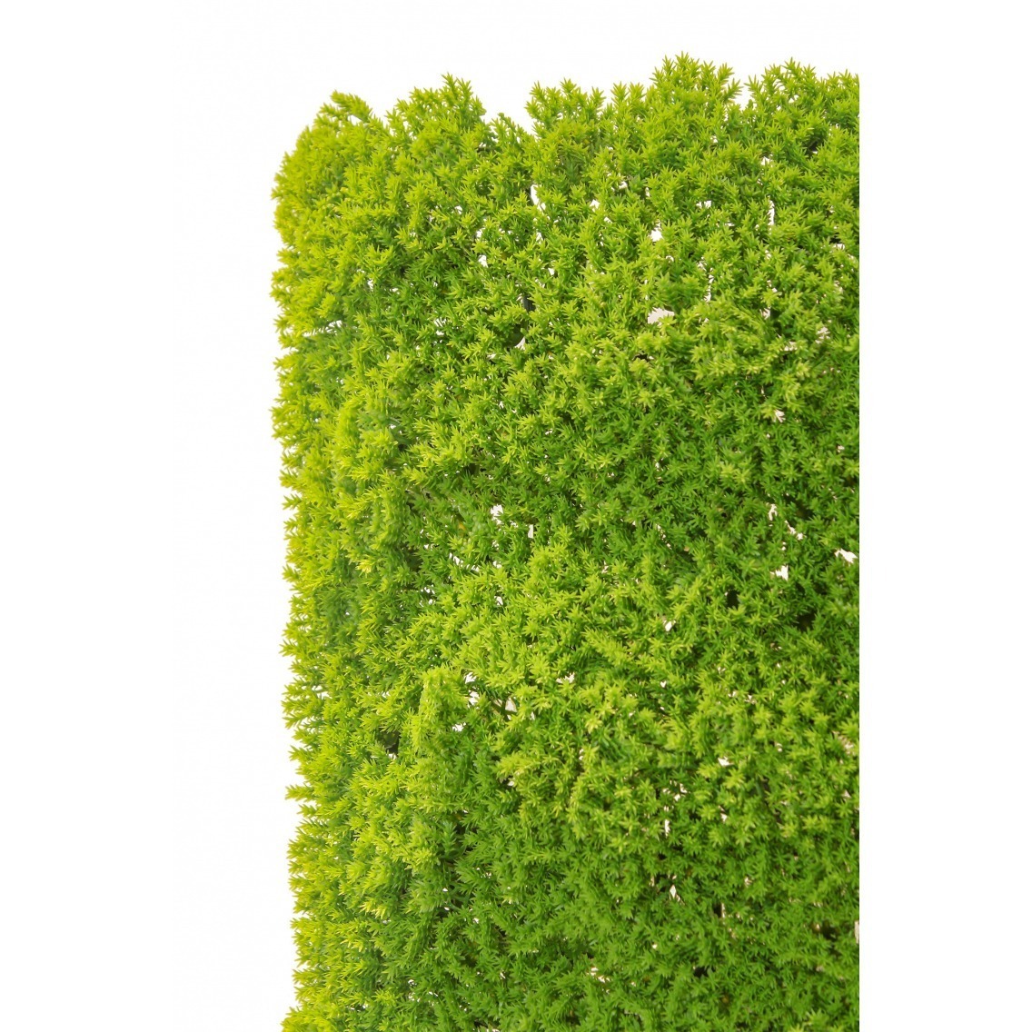 Plaque de mousse sphaigne verte claire 50 cm - Mousse artificielle ...