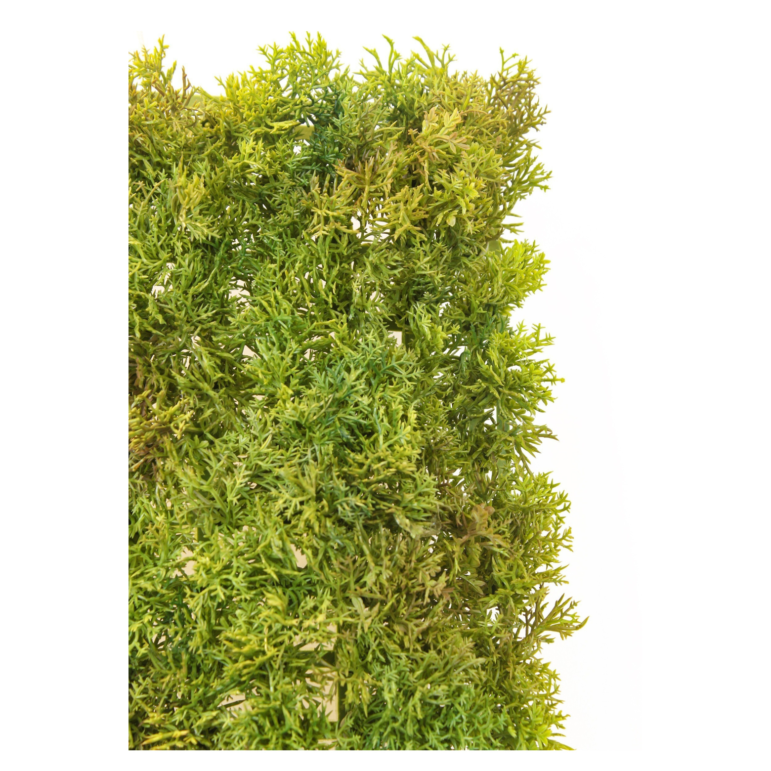 Sitemapcdatahttpsfoowindecoocomplante Artificielle Exterieur Anti Uv