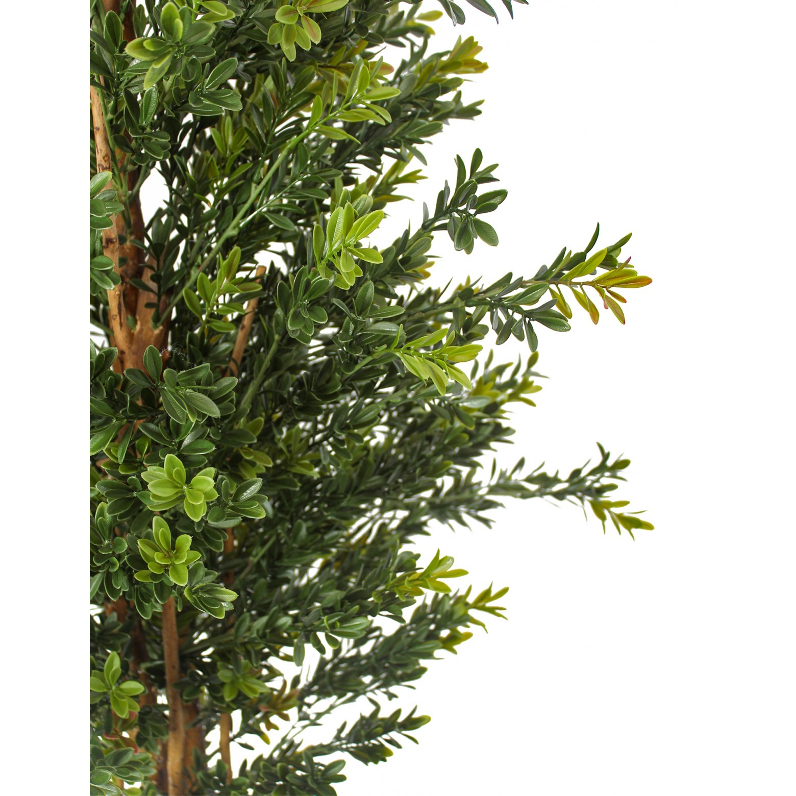 Buis artificiel arbustif - Buis artificiels - Artiplantes