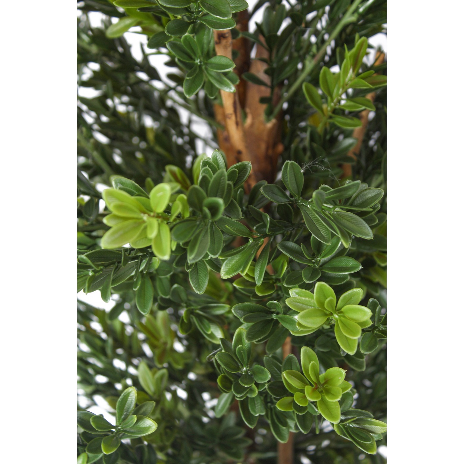 Buis artificiel arbustif - Buis artificiels - Artiplantes