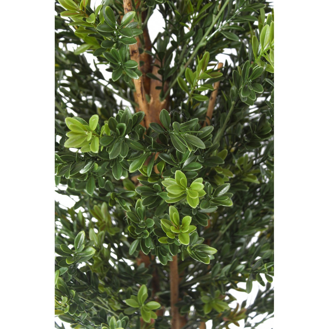 Buis artificiel arbustif - Buis artificiels - Artiplantes