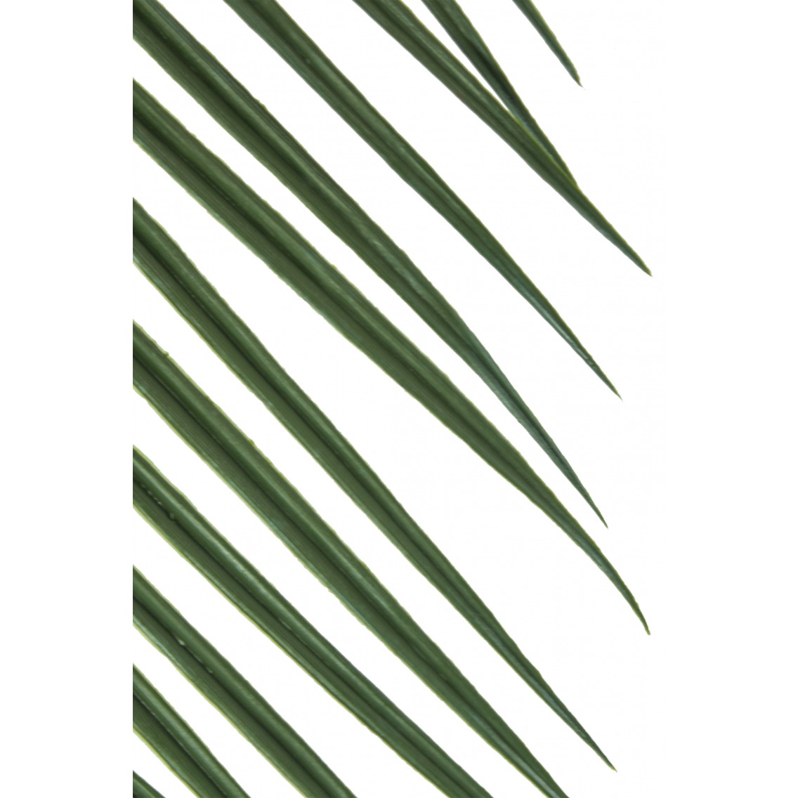Feuille de palmier longue artificielle 135 cm - Feuilles tropicales ...
