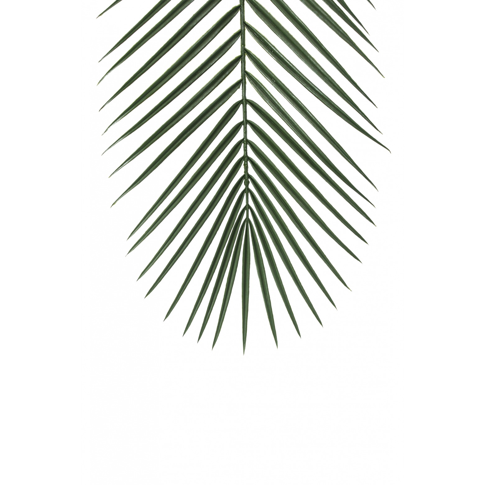 Feuille de palmier longue artificielle 135 cm - Feuilles tropicales ...