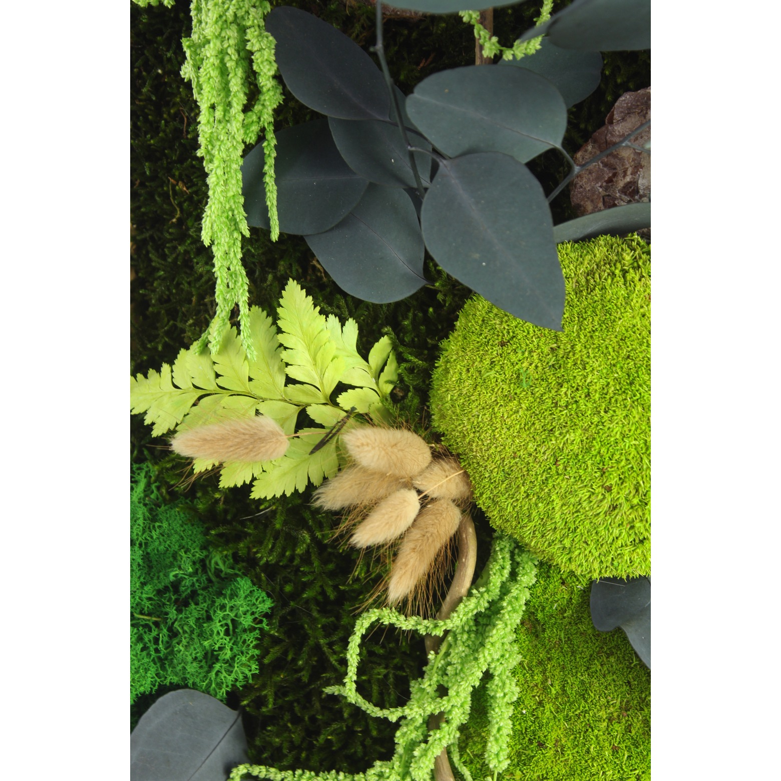 Tableau végétal stabilisé Caen 35 cm - Tableau végétal stabilisé ...