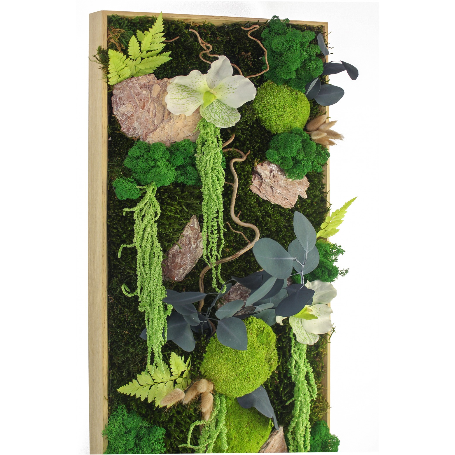 Tableau végétal stabilisé Caen 35 cm - Tableau végétal stabilisé ...