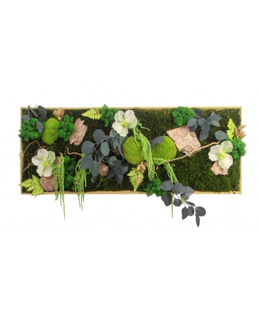Tableau végétal stabilisé naturel et sans entretien - Artiplantes