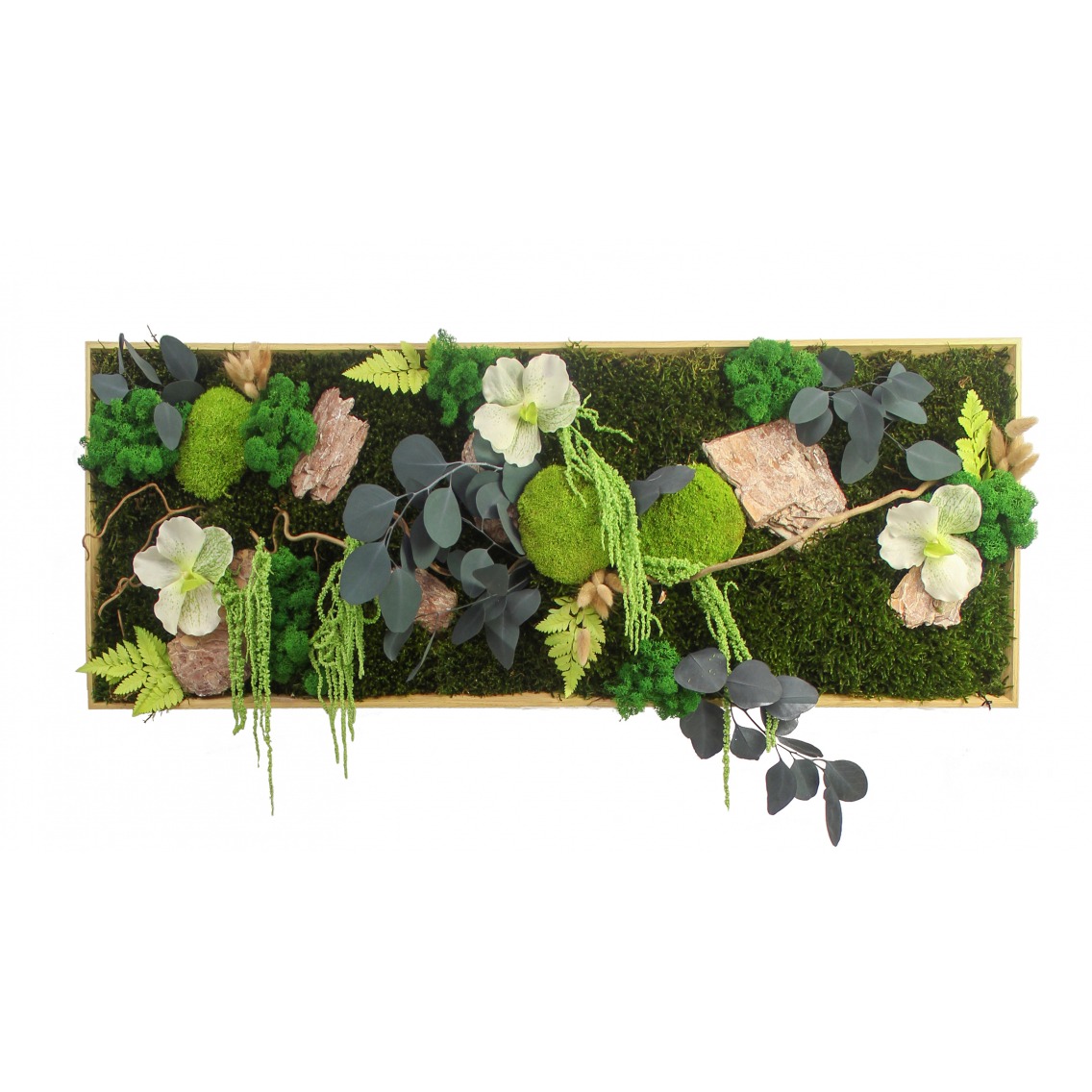 Tableau végétal stabilisé Caen 35 cm - Tableau végétal stabilisé ...