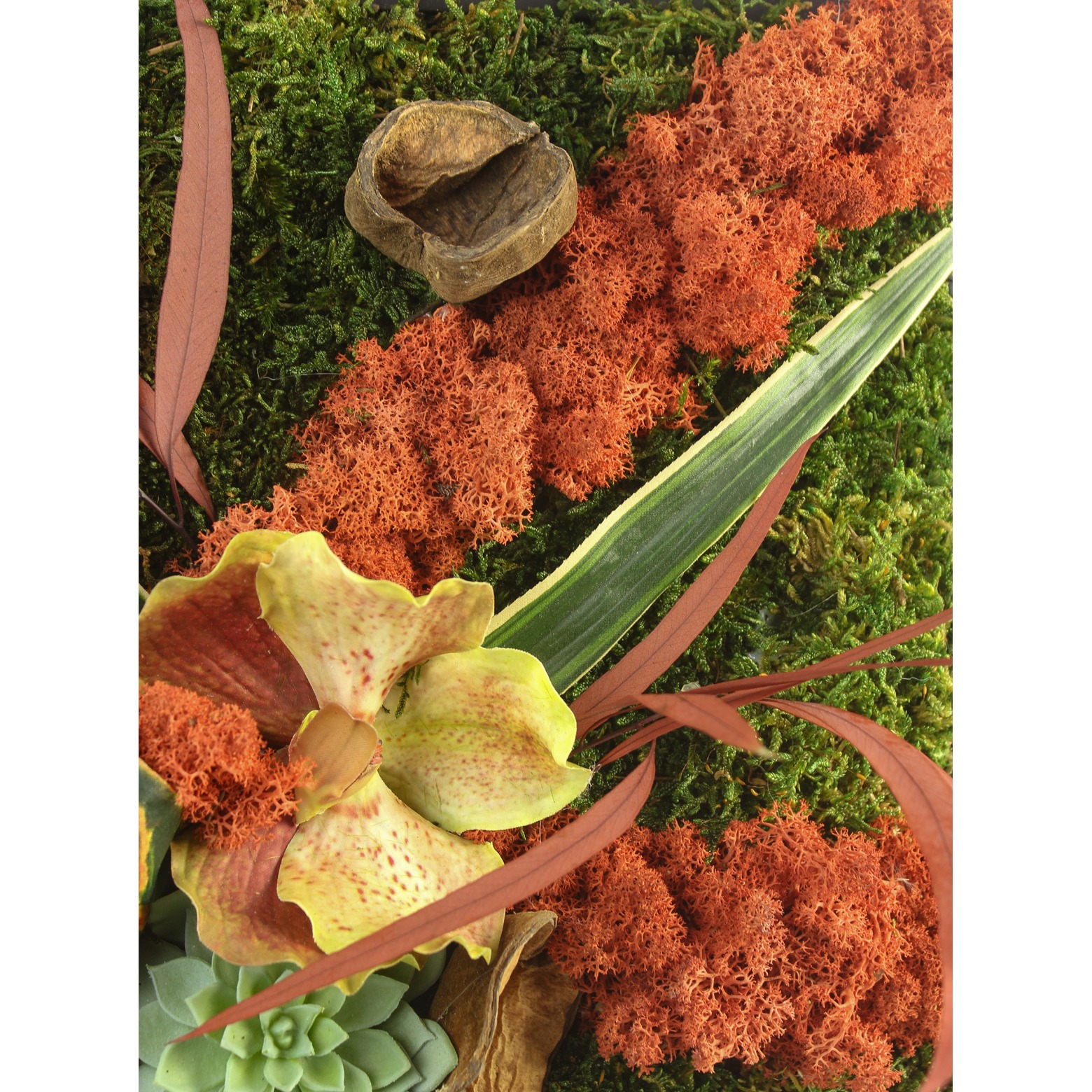 Cadre de mousse végétale Fécamp 33 cm - Tableau végétal stabilisé ...
