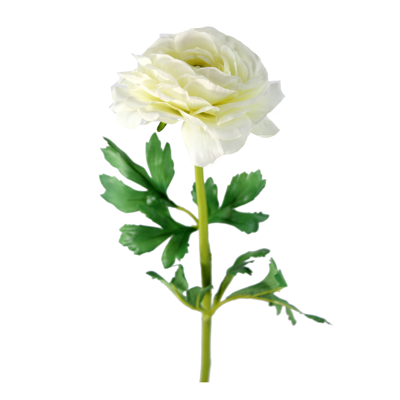 Renoncule artificielle blanche 60 cm - Renoncules artificielles ...