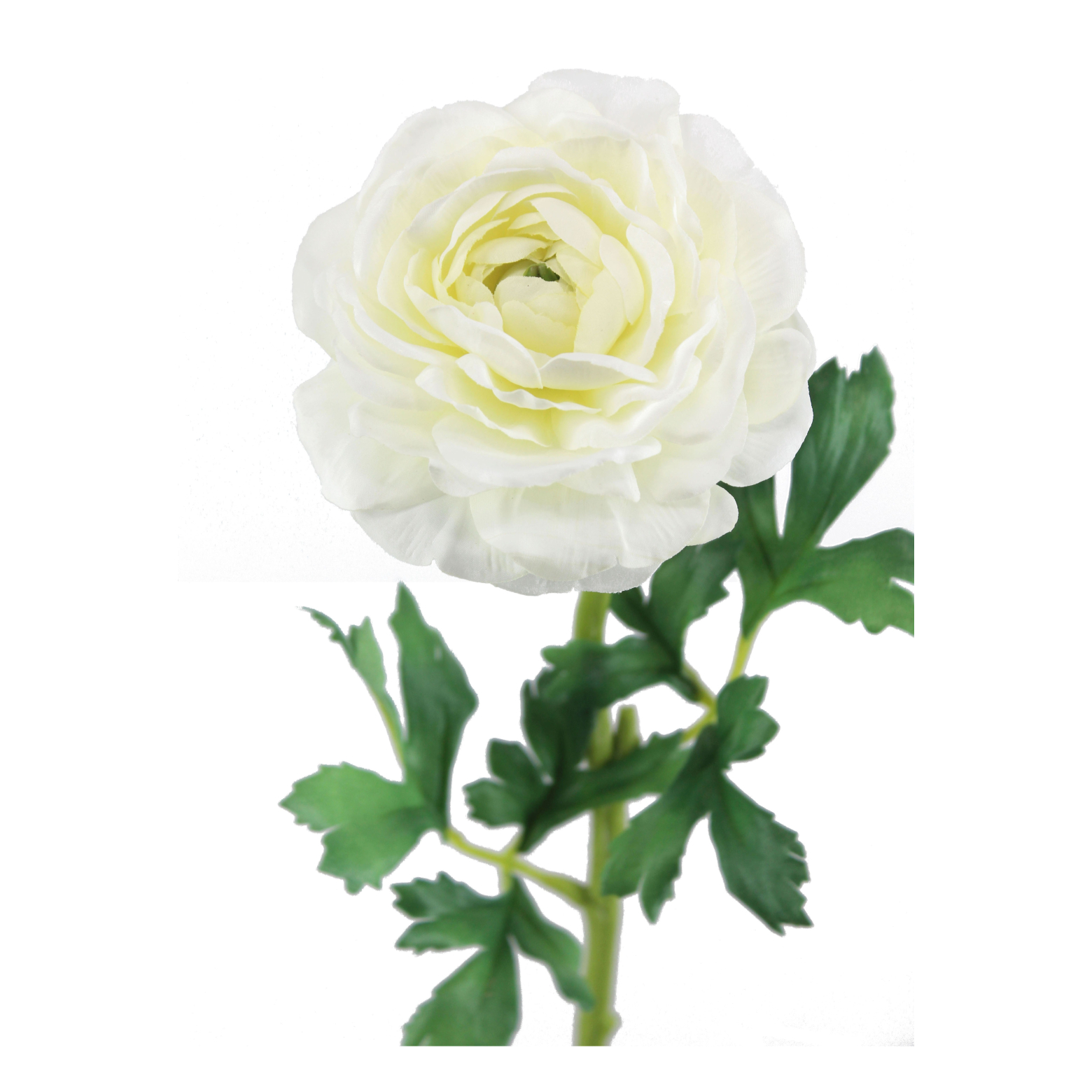 Renoncule artificielle blanche 60 cm - Renoncules artificielles ...
