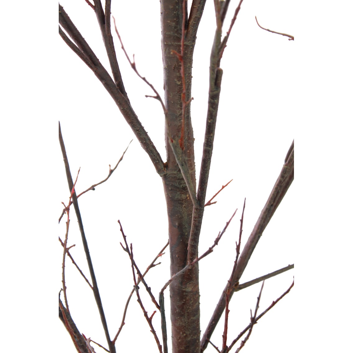 Branche artificielle tortuosa géante 170 cm - Branches artificielles ...