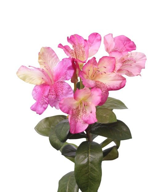 Fleurs artificielles coupées - Artiplantes