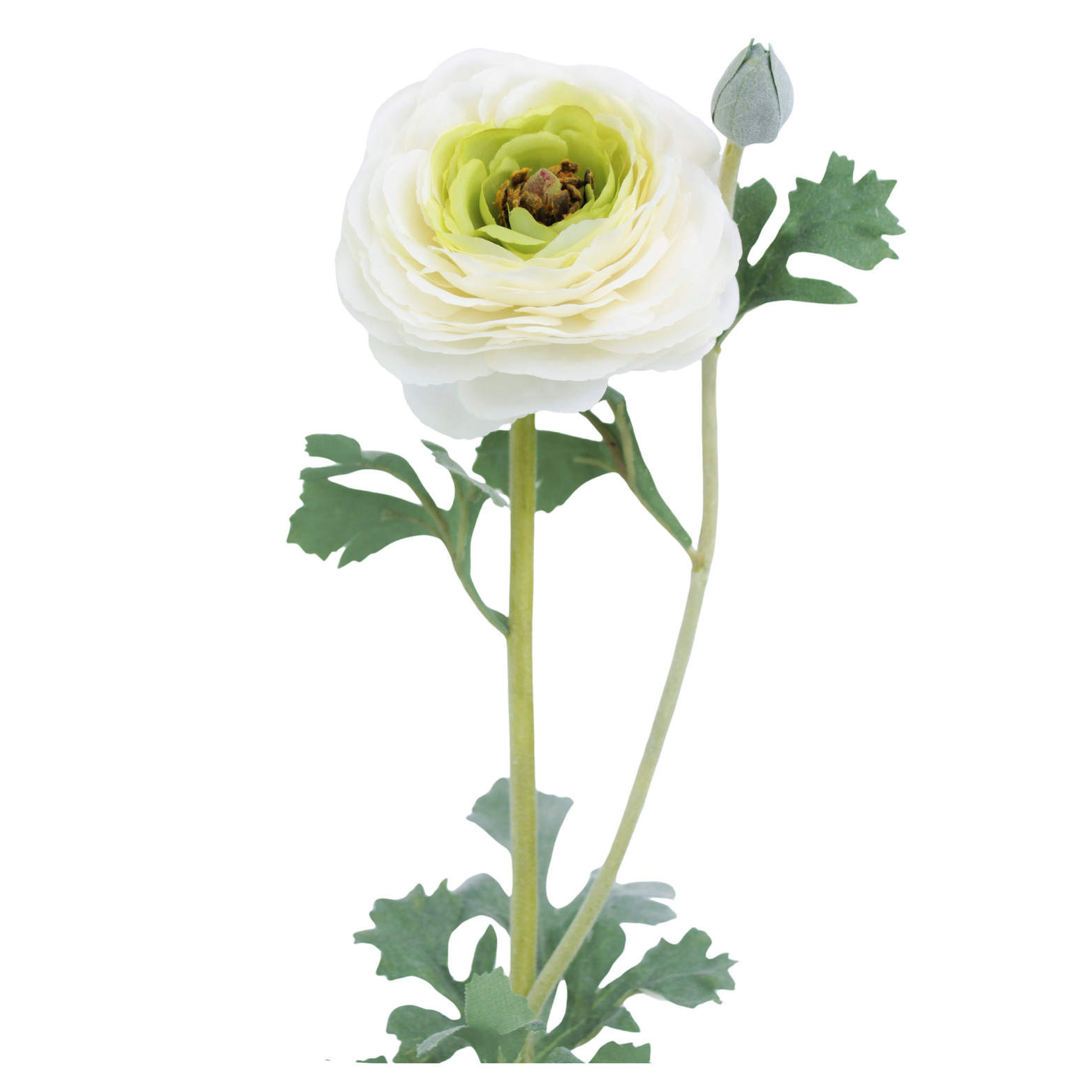 Renoncule artificielle blanche bouton 72 cm - Renoncules artificielles ...