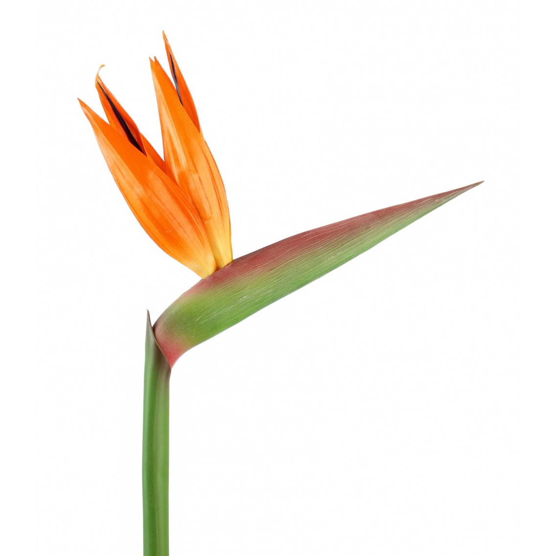 Tige de strelitzia artificielle 90 cm - Fleurs artificielles exotiques ...
